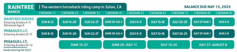 Overnight Camp at Raintree Ranch - YMCA of San Diego County