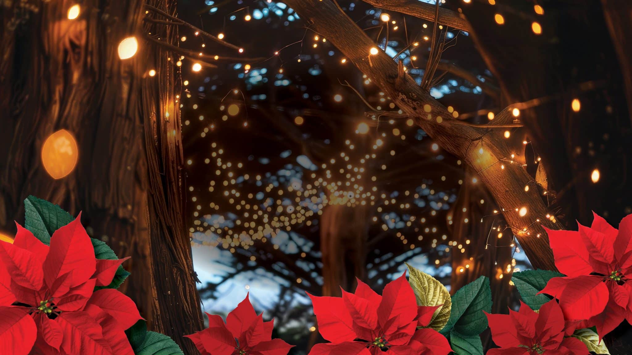 Dan McKinney Family YMCA - YMCA of San Diego County